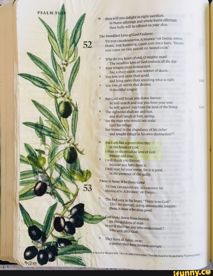 PSALM then will you delightin right sacrifioes, offerings and whole ...