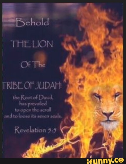 THE LION { a OF The TRBE OF JUDA the Root of Duvid, has prevailed \ to ...