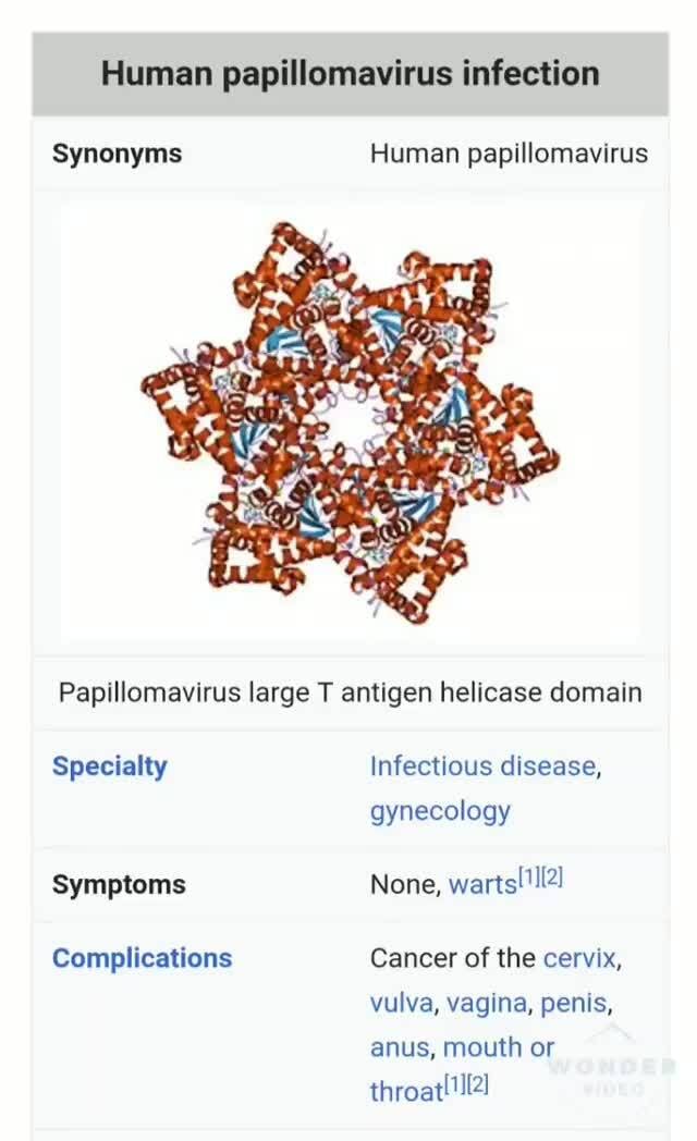Human Papillomavirus Infection Synonyms Human Papillomavirus human-papillomavirus-infection-synonyms-human-papillomavirus