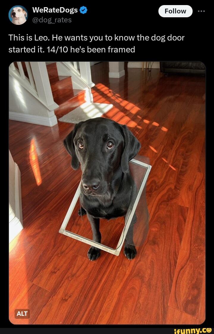 Garfield begins! Garfield #1 First Garfield Comic - by Jim Davis for ...