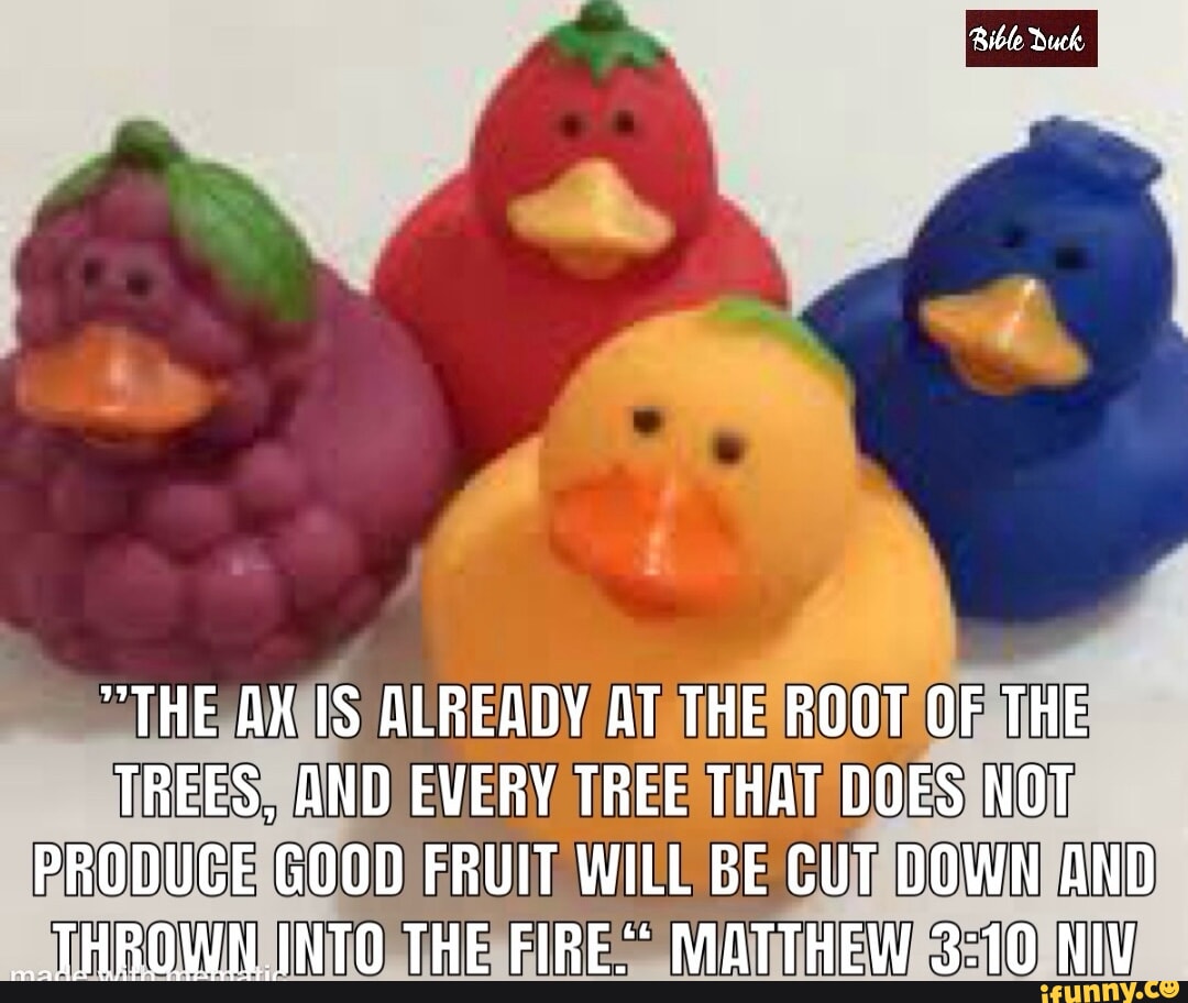 Root memes. Best Collection of funny Root pictures on iFunny