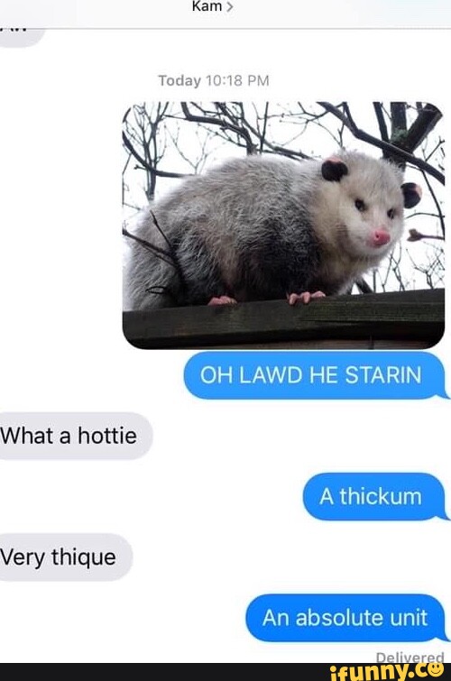 Kam > Today PM OH LAWD HE STARIN What a hottie thickum An absolute unit ...