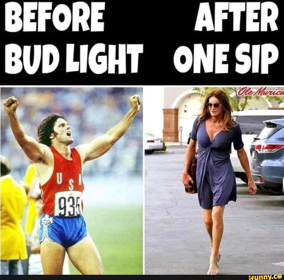 BUD LIGHT ONE SIP AFTER - iFunny