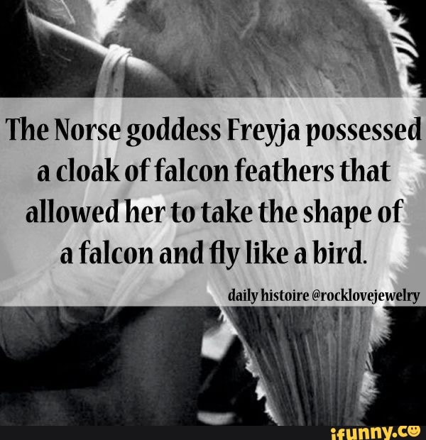 The Norse goddess Freya possessed a cloak of falcon feathers that ...