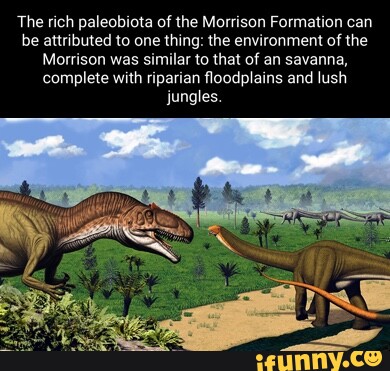 Paleobiota memes. Best Collection of funny Paleobiota pictures on iFunny
