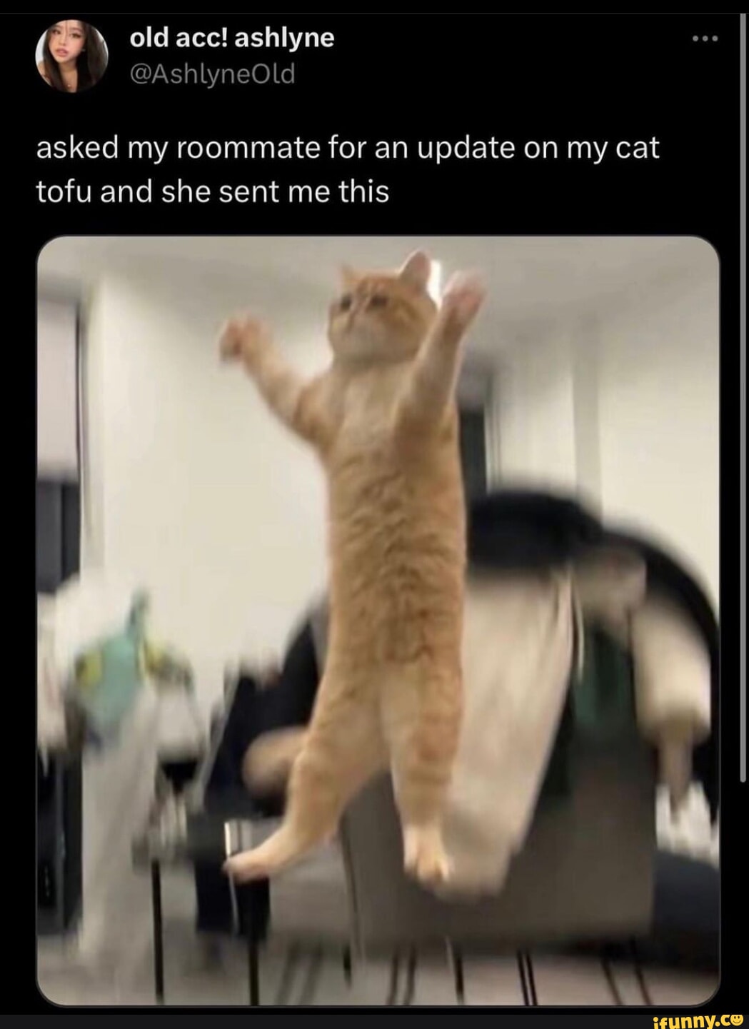 Ashlyne memes. Best Collection of funny Ashlyne pictures on iFunny