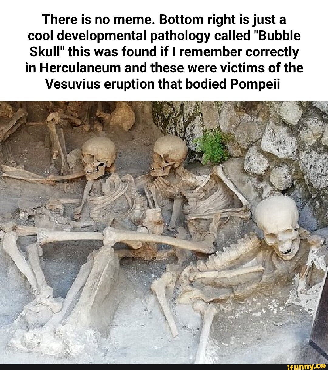 Pathology memes. Best Collection of funny Pathology pictures on iFunny