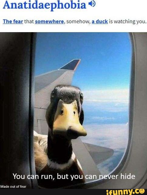 Anatidaephobia The fear that somewhere, somehow, a duck is watching you ...