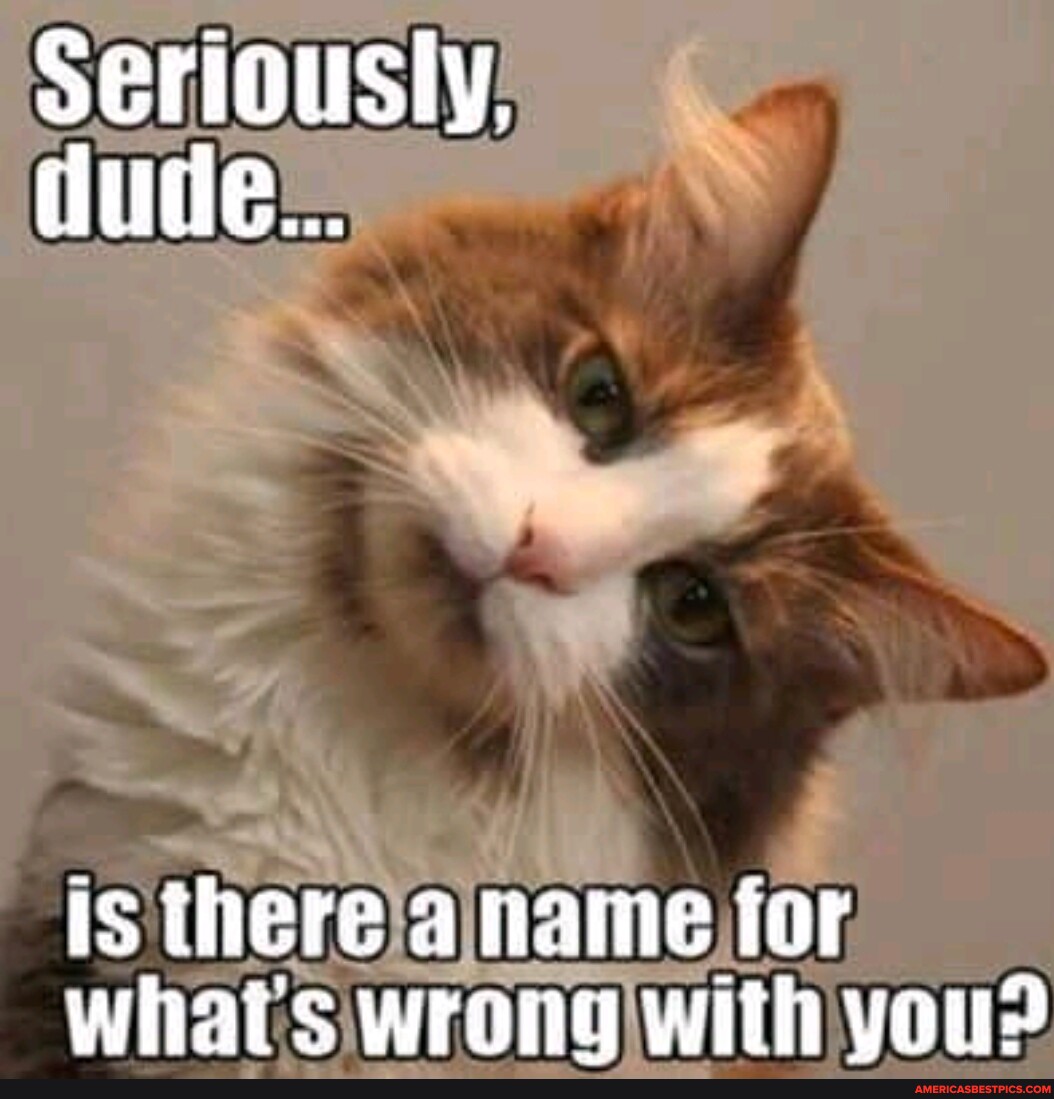 Seriously, dude= is there a hame for Whais wrong with you? - America’s best pics and videos