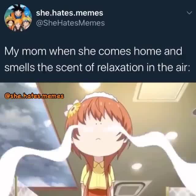 She hates. .memes ia SheHatesMemes My mom when she comes home and ...