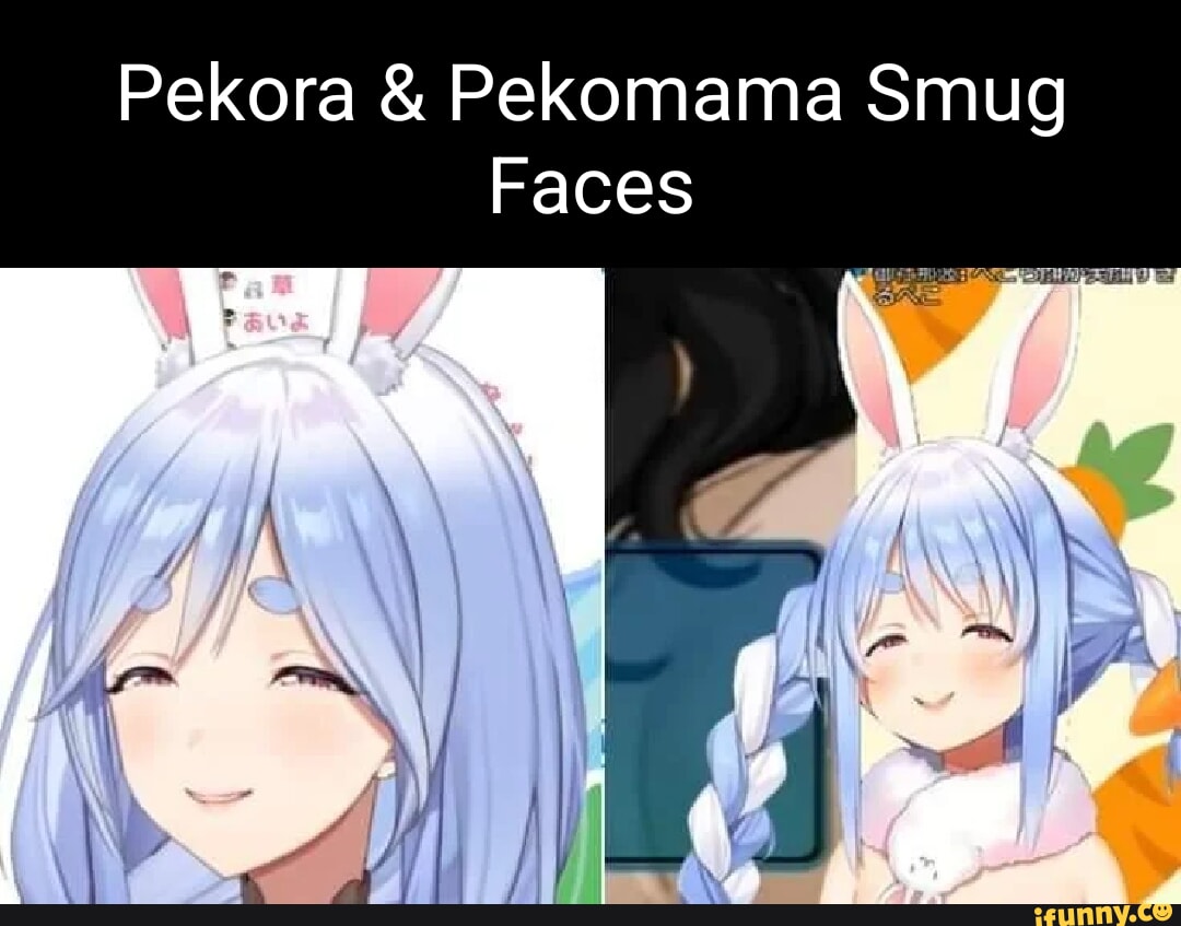 Pekora memes. Best Collection of funny Pekora pictures on iFunny