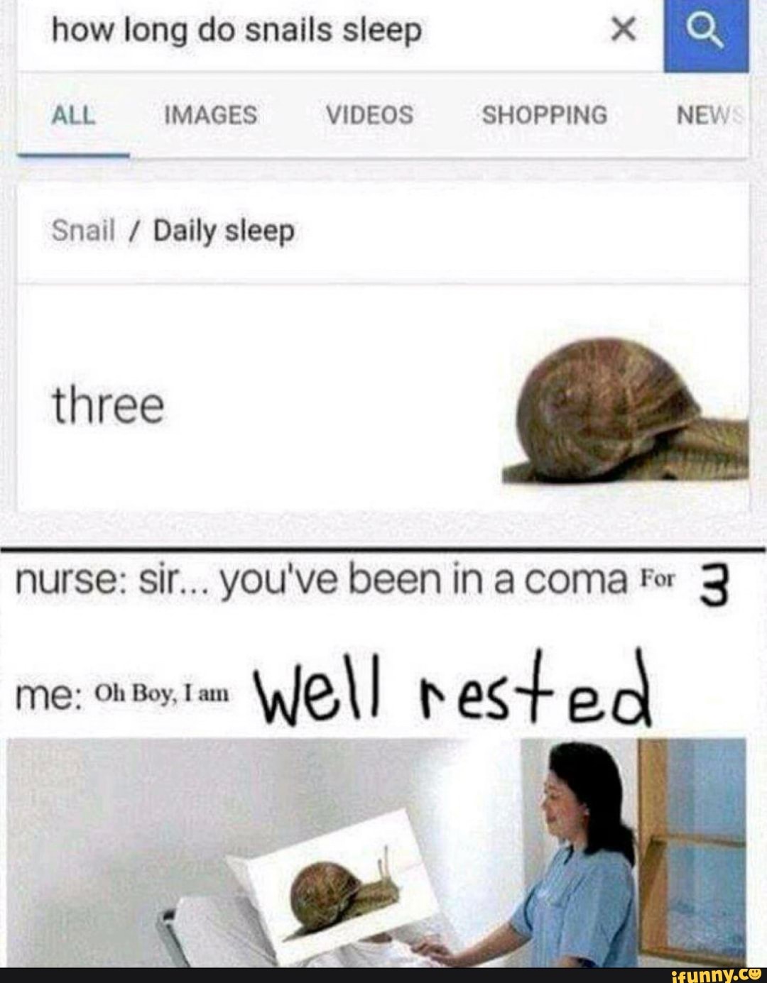 How long do snails sleep ALL IMAGES VIDEOS SHOPPING NEV Snail / Daily ...