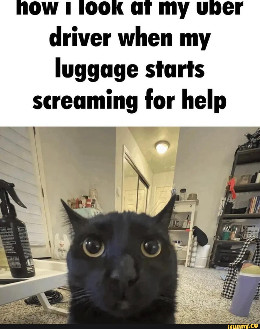 Luggage memes. Best Collection of funny Luggage pictures on iFunny