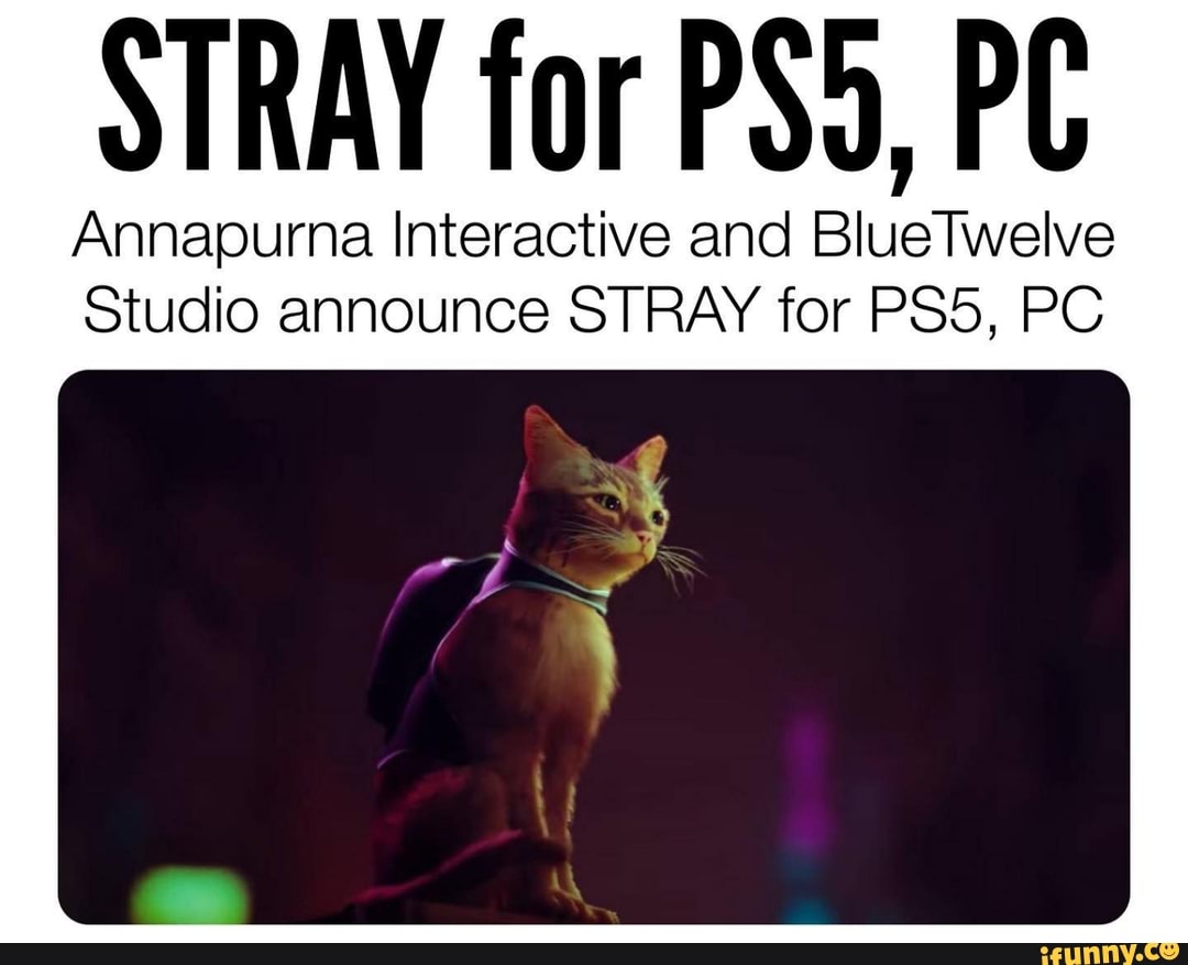 STRAY for PSo, PC Annapurna Interactive and Blue Twelve Studio announce ...