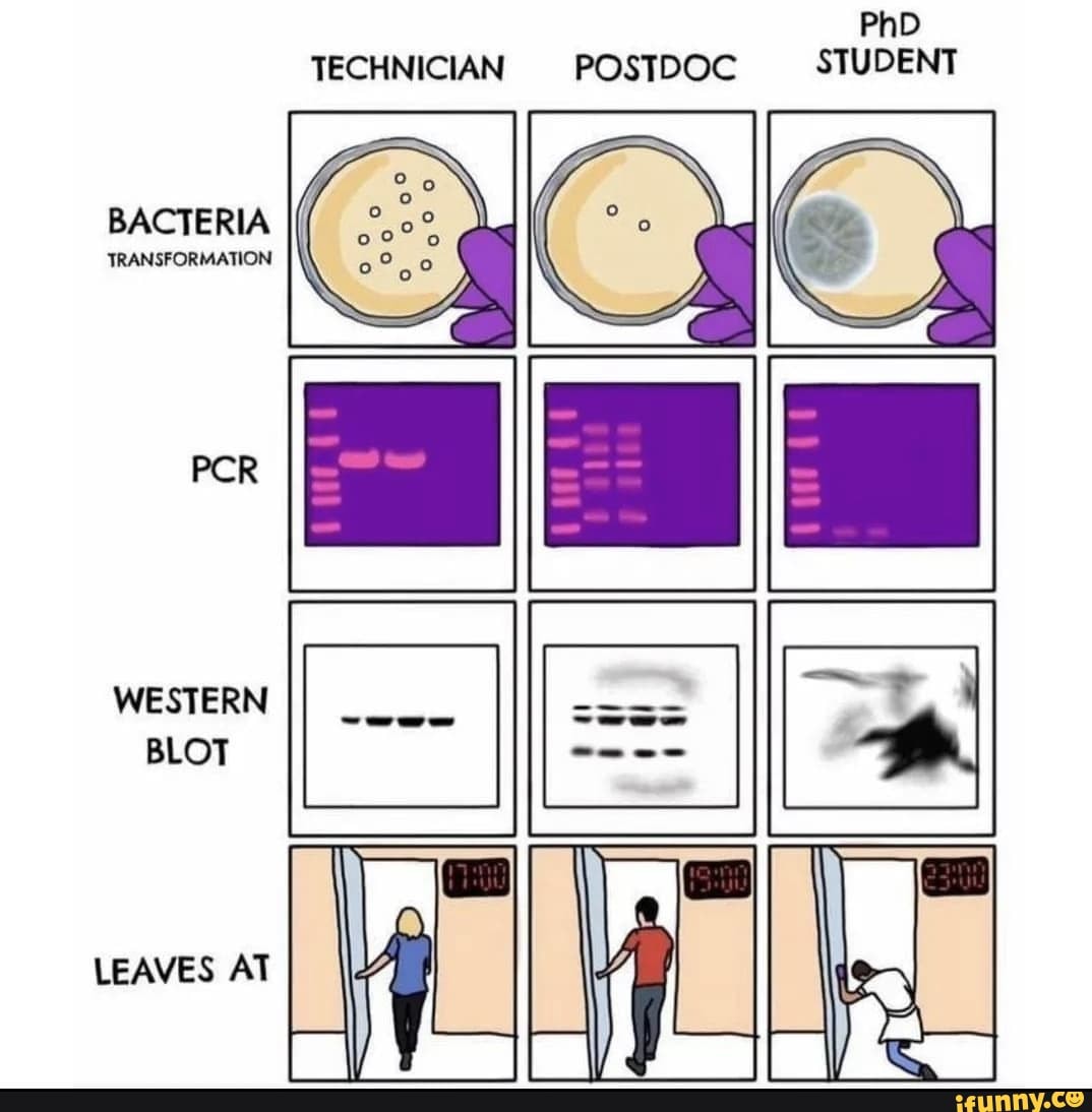 Postdoc memes. Best Collection of funny Postdoc pictures on iFunny