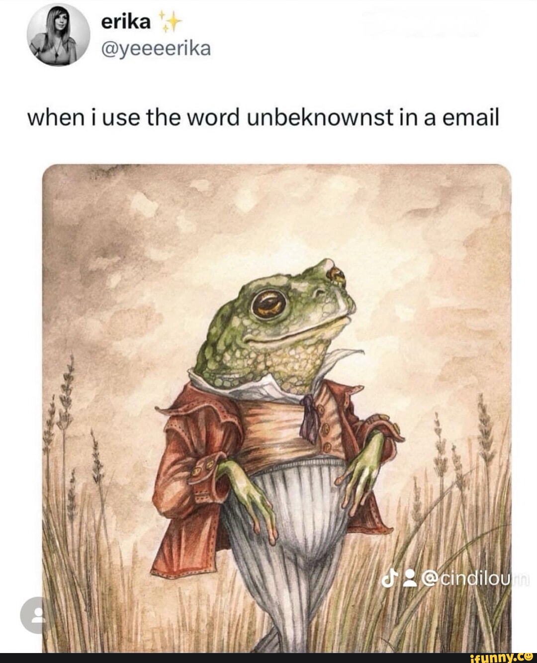 Erika when i use the word unbeknownst in a email - iFunny