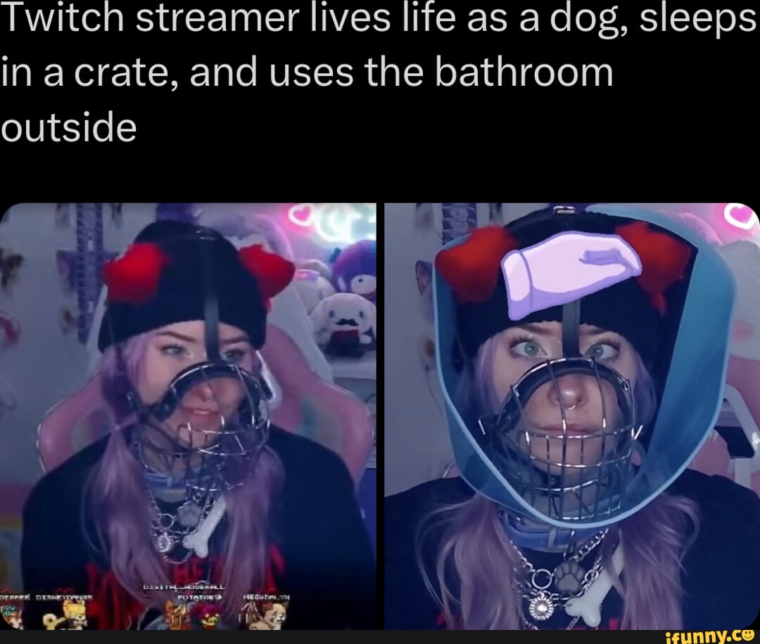 Twitch streamer lives life as a dog, sleeps in acrate, and uses the ...
