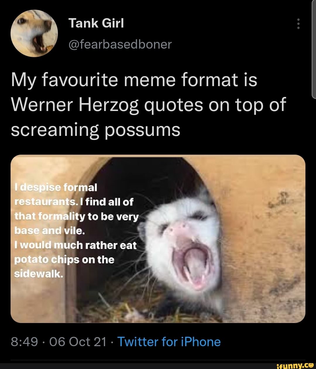 My favourite meme format is Werner Herzog quotes on top of screaming ...
