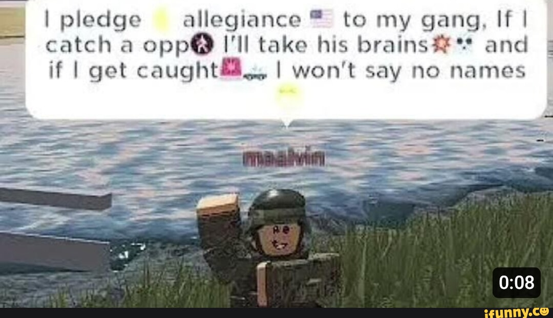 Pledge memes. Best Collection of funny Pledge pictures on iFunny