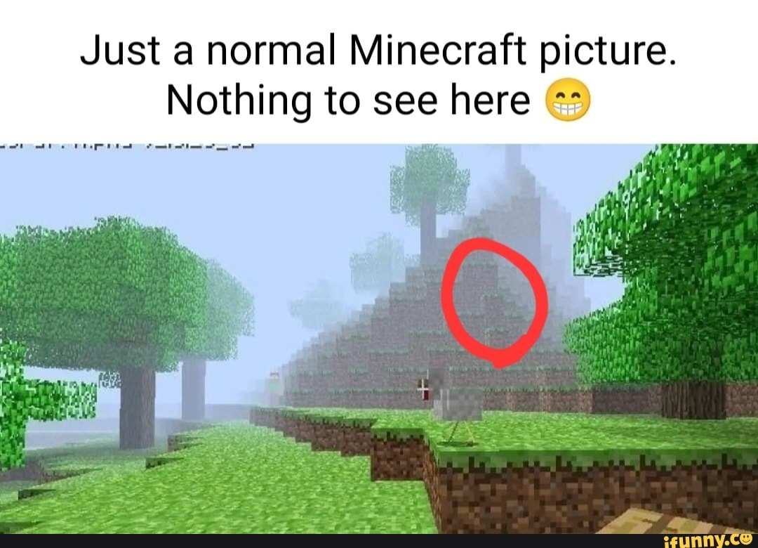 Just a normal Minecraft picture. Nothing to see here - iFunny