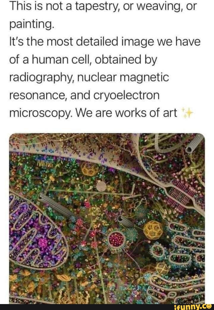 Microscopy memes. Best Collection of funny Microscopy pictures on iFunny