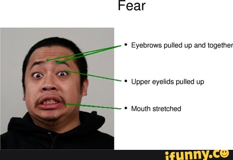 Eyelids memes. Best Collection of funny Eyelids pictures on iFunny