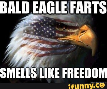 BALD EAGLE FARTS SMELLS LIKE FREEDOM - iFunny