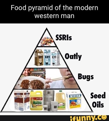 Food pyramid of the modern western man - iFunny
