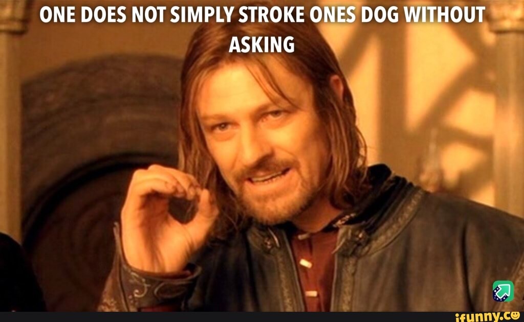 Memes ? - ONE DOES NOT SIMPLY STROKE ONES DOG WITHOUT ASKING - iFunny