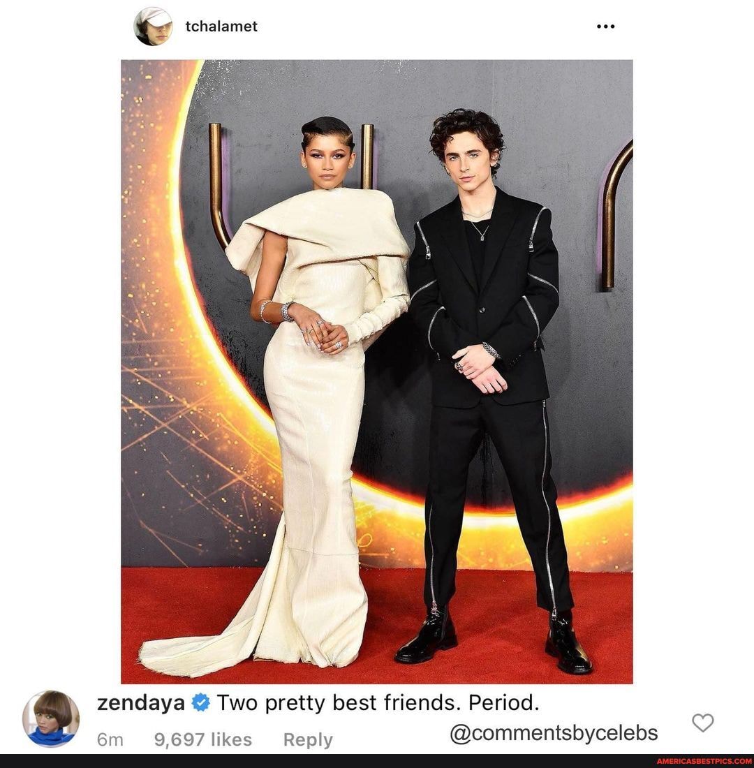Tchalamet zendaya Two pretty best friends. Period. Mcommentsbvycelehs ...