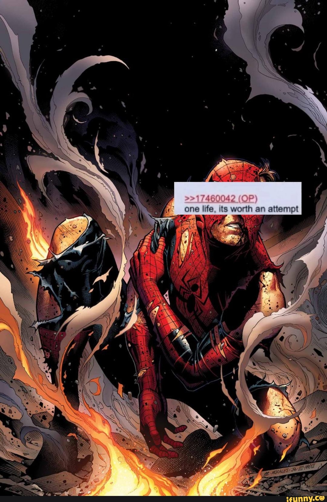 (OP one life, its worth an attempt - iFunny