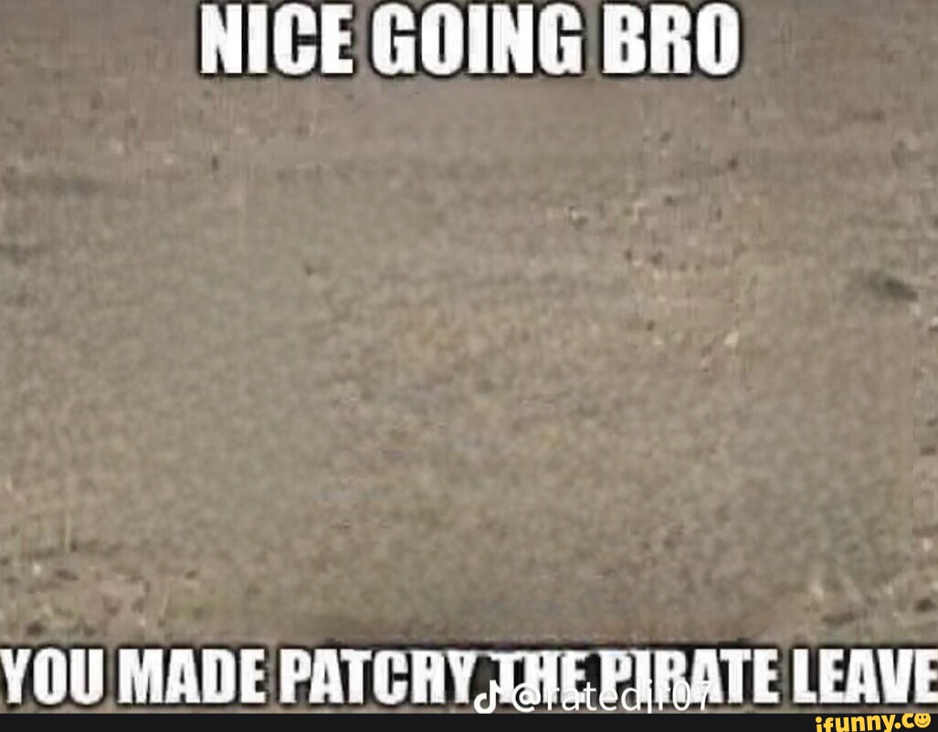 Patchy memes. Best Collection of funny Patchy pictures on iFunny