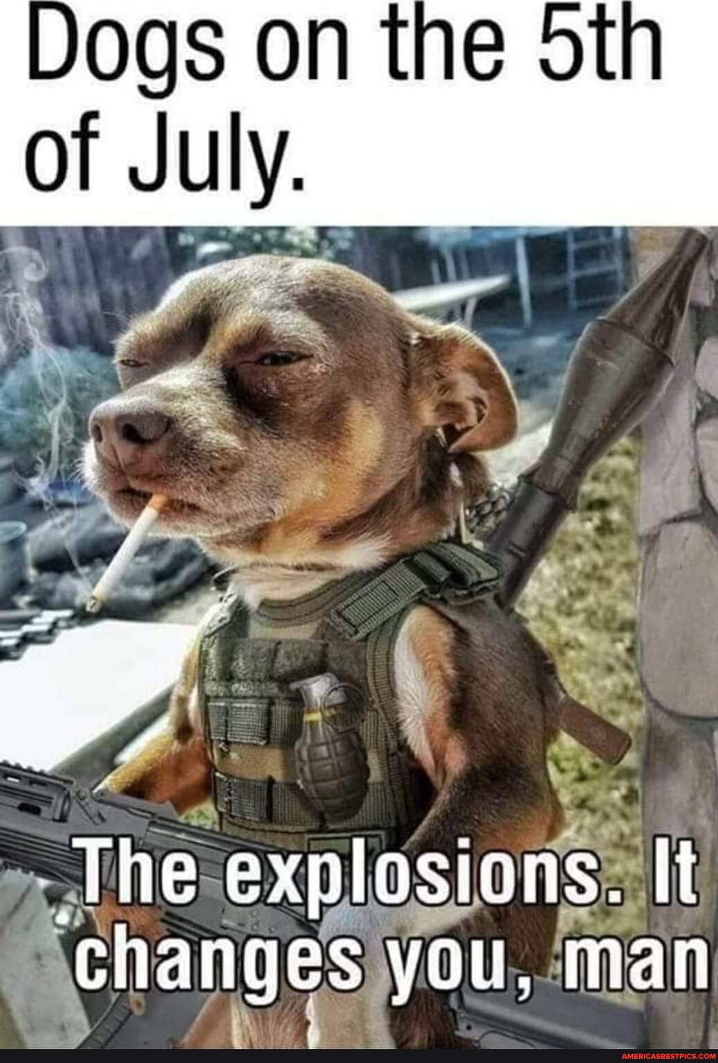 DOgs on the or July. by The explosions. changes you, man - America’s ...