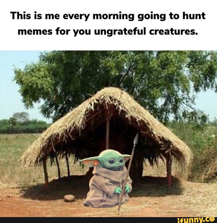 This is me every morning going to hunt memes for you ungrateful ...