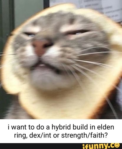 I want to do a hybrid build in elden ring, or - iFunny