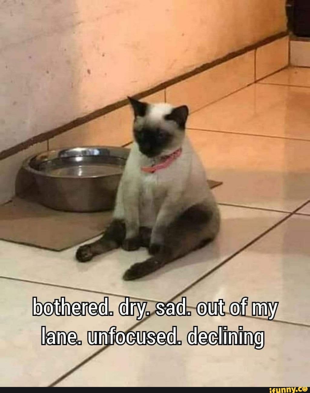 Unfocused memes. Best Collection of funny Unfocused pictures on iFunny