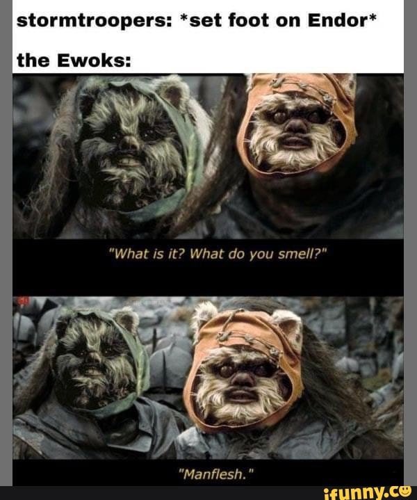 Ewok memes. Best Collection of funny Ewok pictures on iFunny