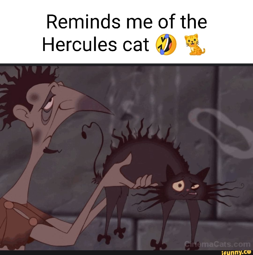 Reminds me of the Hercules cat - iFunny