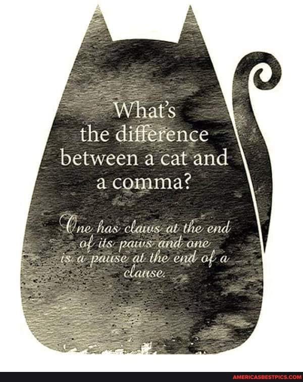 Whats the difference between a cat and a comma? has' clawus-at the end ...