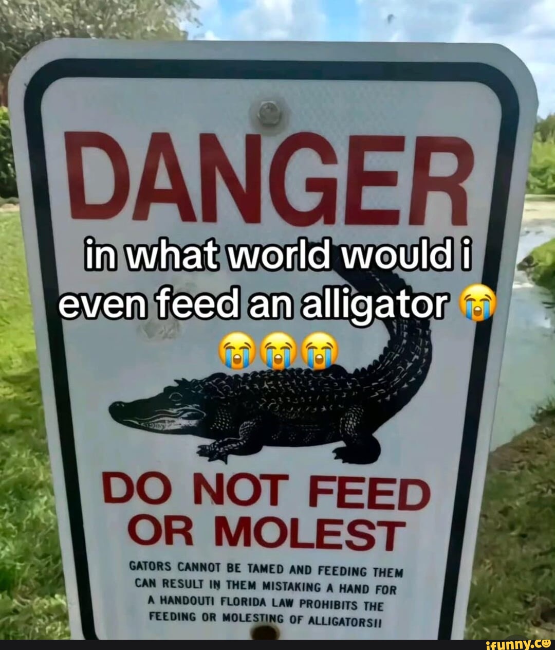 DANGER in what world would even feed an alligator DO NOT FEED OR MOLEST ...