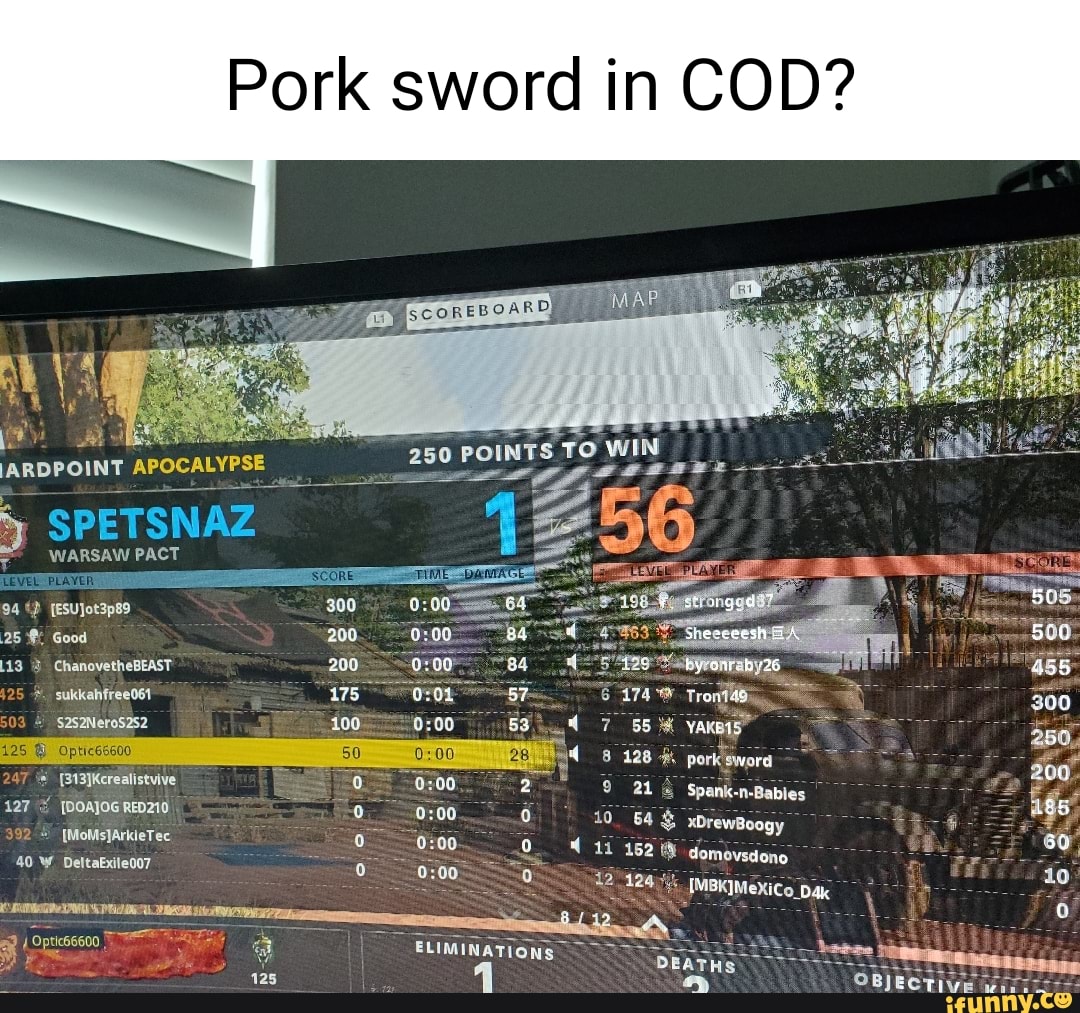 Pork sword in COD? IARDPOINT APOCALYPSE SPETSNAZ PACT roto pid ...