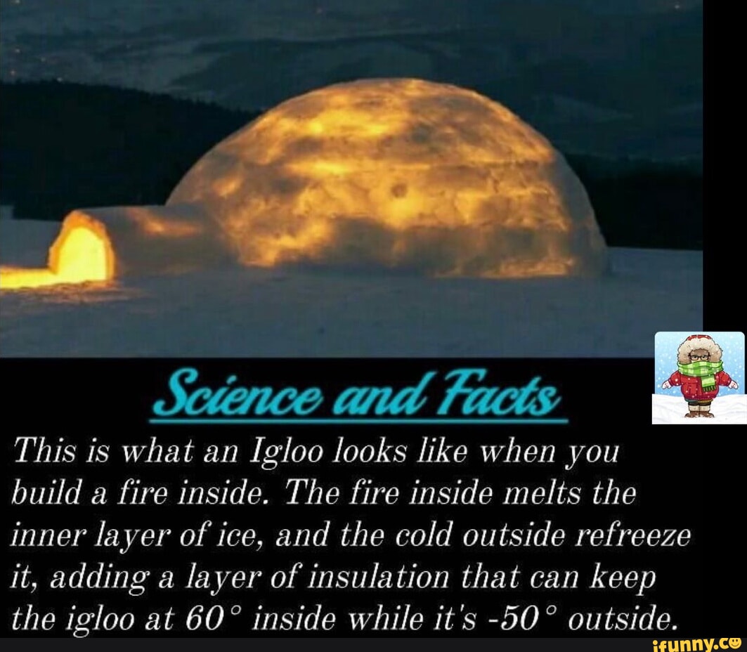 Insulation memes. Best Collection of funny Insulation pictures on iFunny