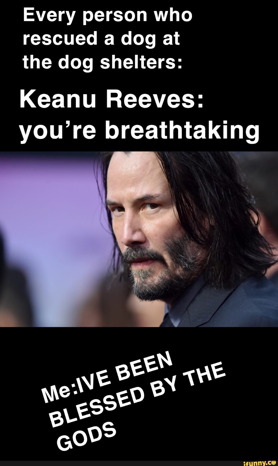 Every person who rescued a dog at the dog shelters: Keanu Reeves: you ...