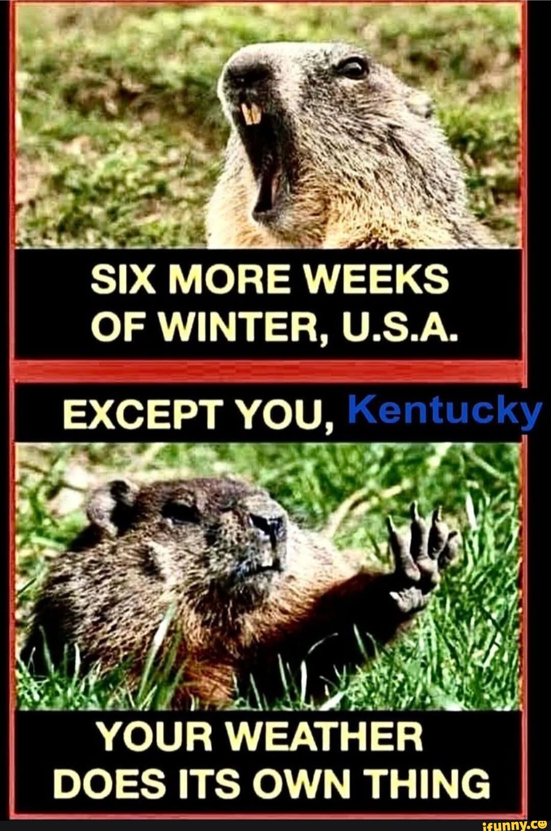 Kentucky Winter Memes