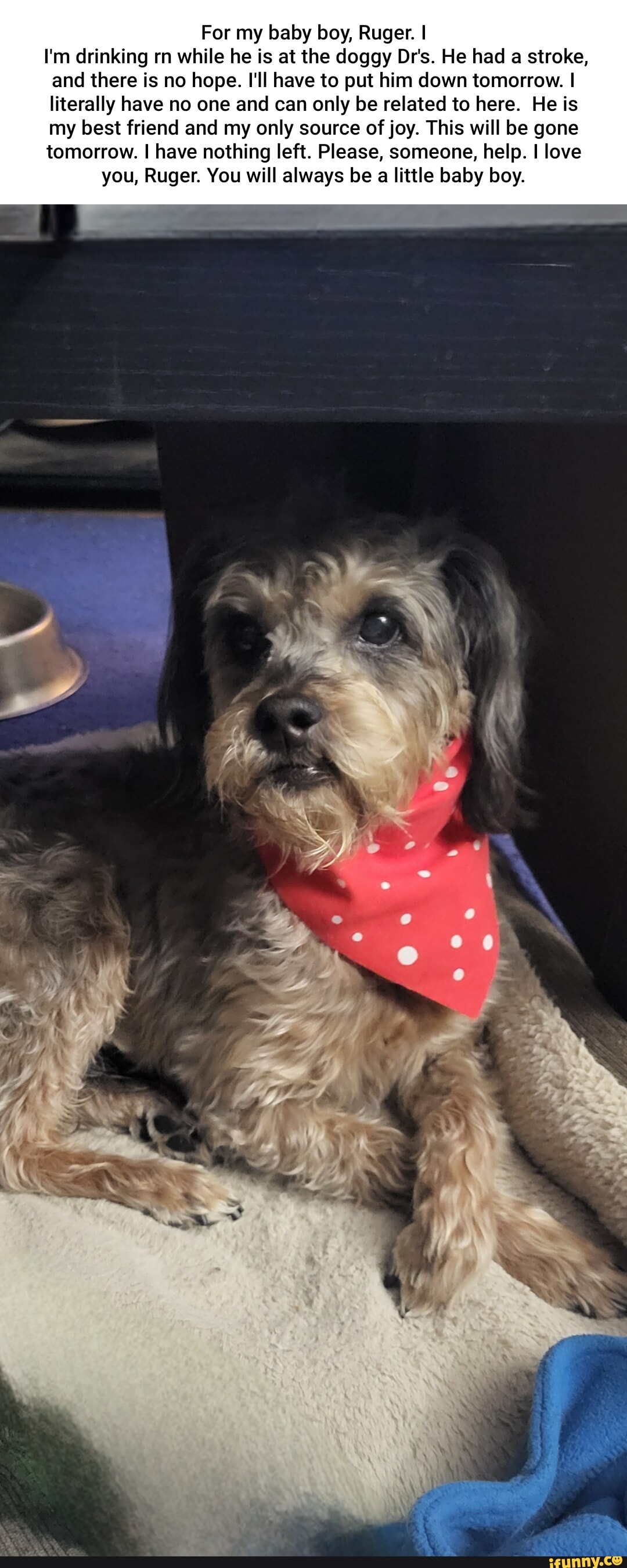 Stroke memes. Best Collection of funny Stroke pictures on iFunny