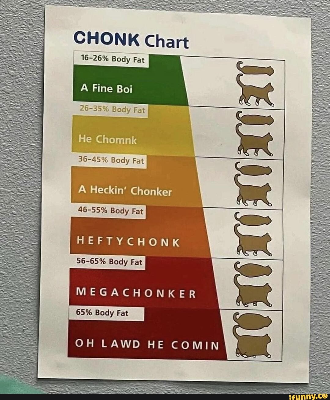 This is too many memes when will it end - CHONK Chart 16-26% Body Fat A ...