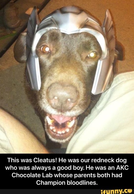 Redneck Meme Lab