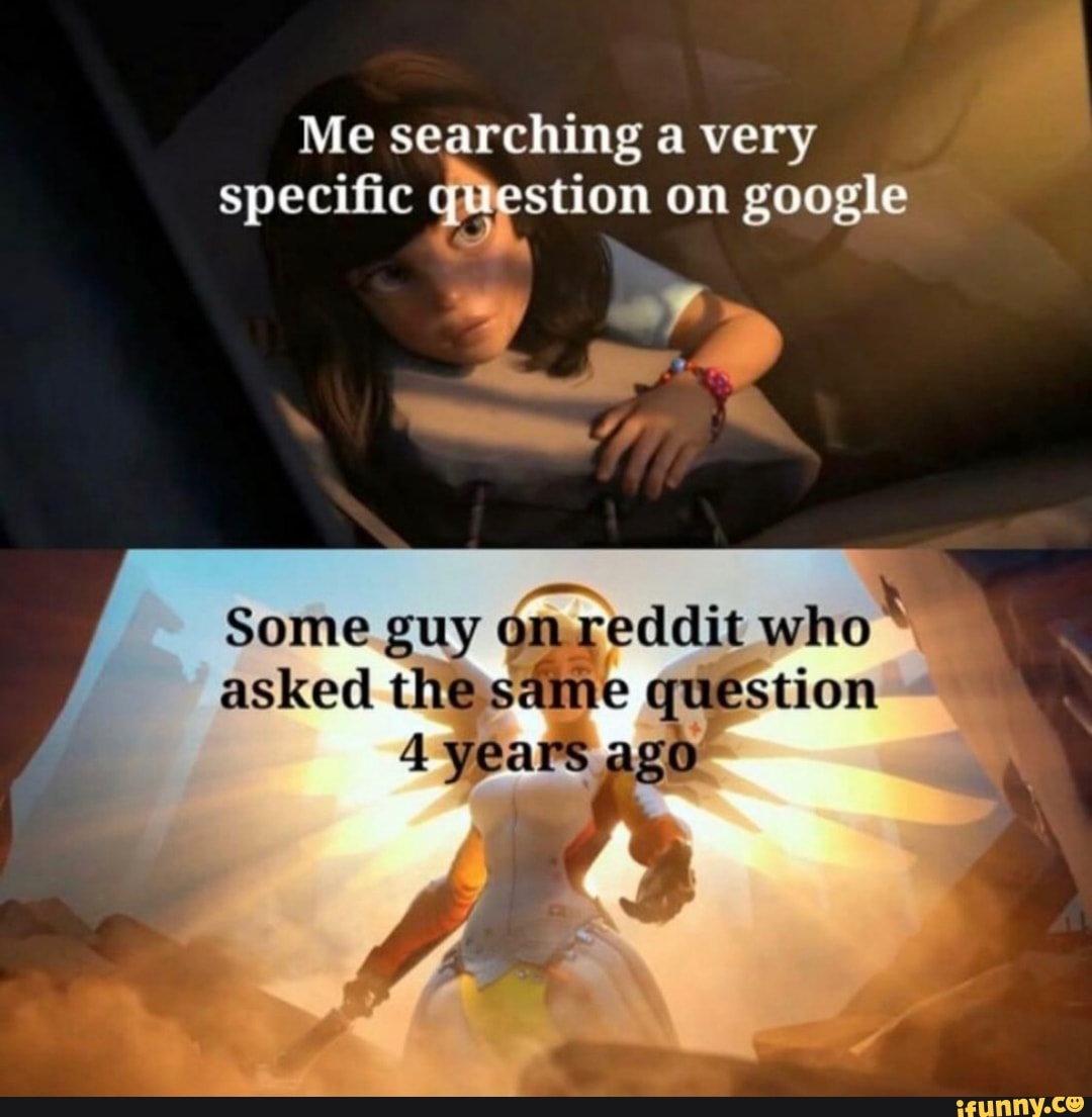 Me searching a very specific question on google Some guy on) reddit who ...