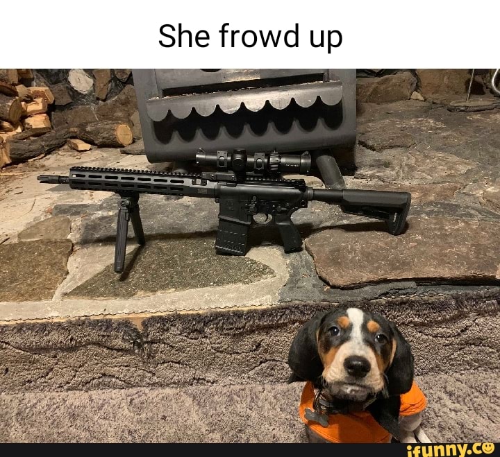 Frowd memes. Best Collection of funny Frowd pictures on iFunny