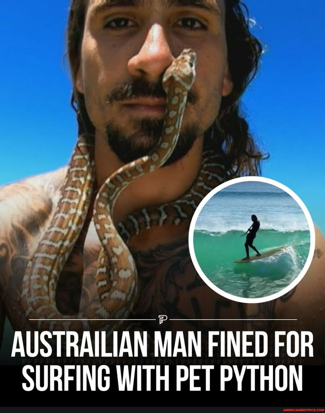 A Gold Coast man who filmed himself taking his pet snake for a surf has ...